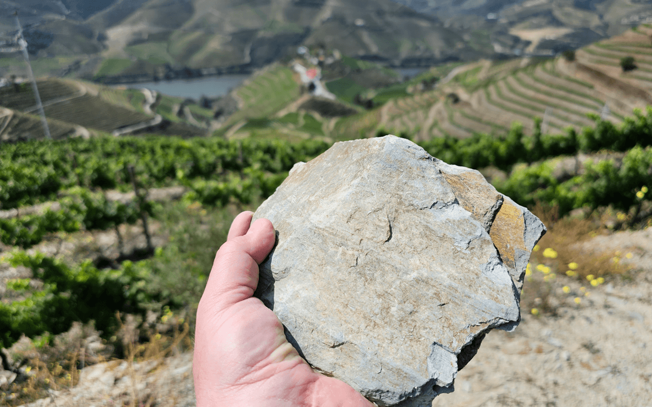 Quinta do Passadouro